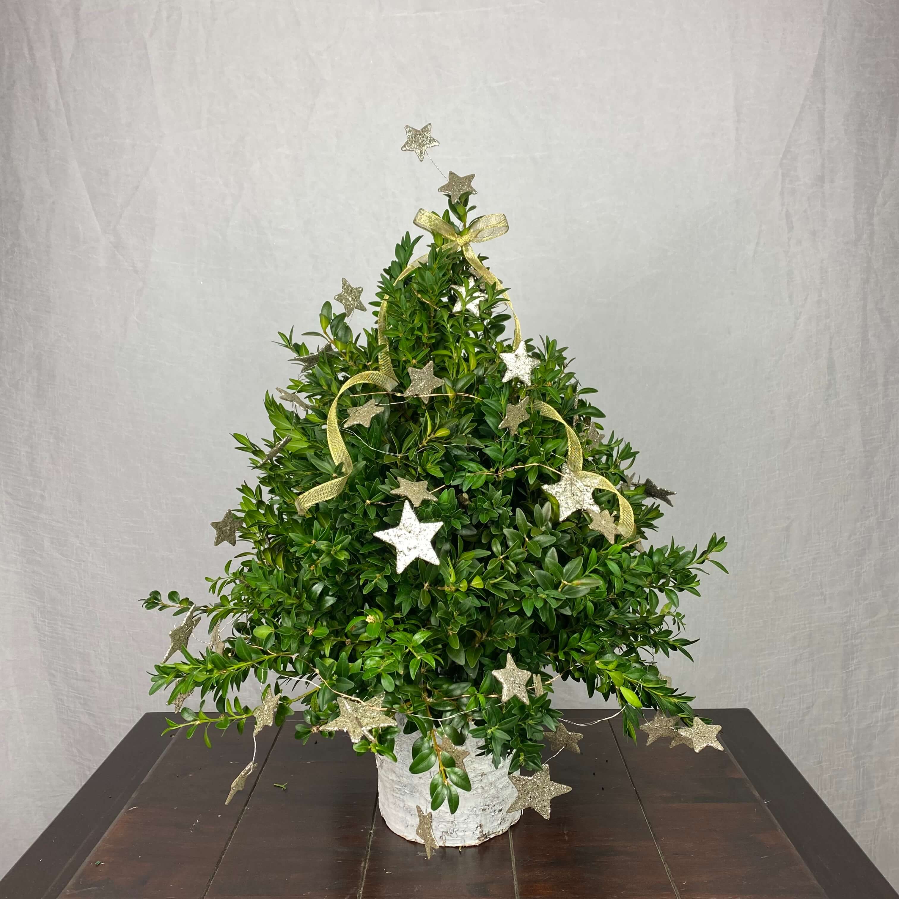 Starlight Boxwood Tree Arrangement :: Flowers By Nature