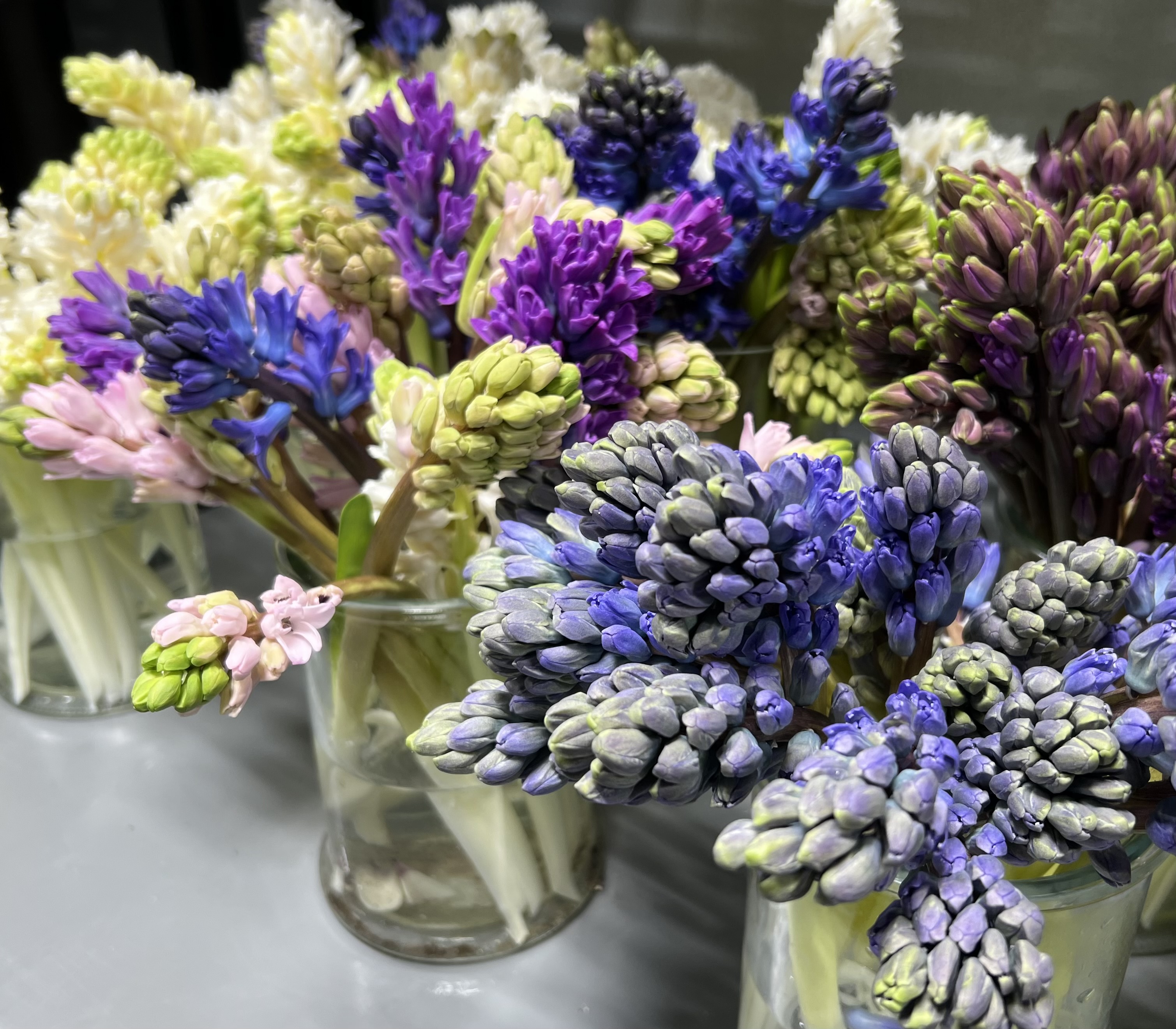 Going Dutch cut flower special :: Flowers By Nature